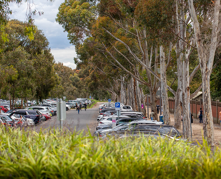 How to pay a parking fine | City of Melbourne