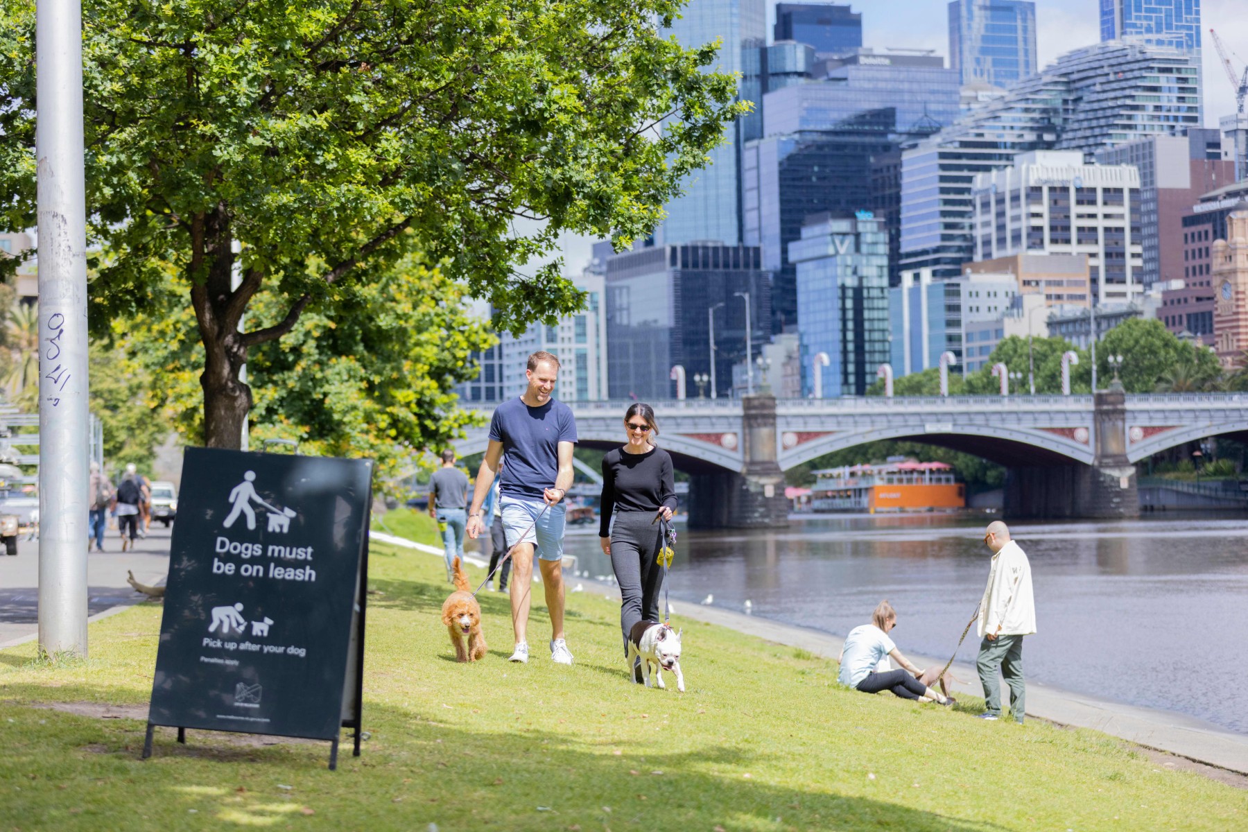 Walking your dog | City of Melbourne