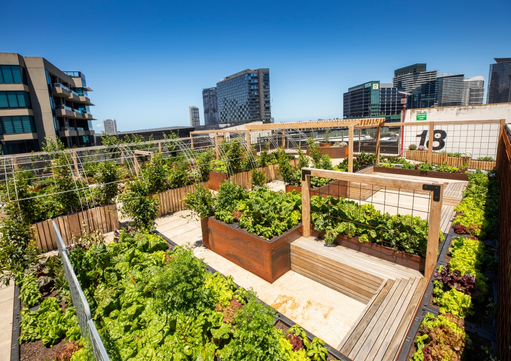 Melbourne Skyfarm | City of Melbourne