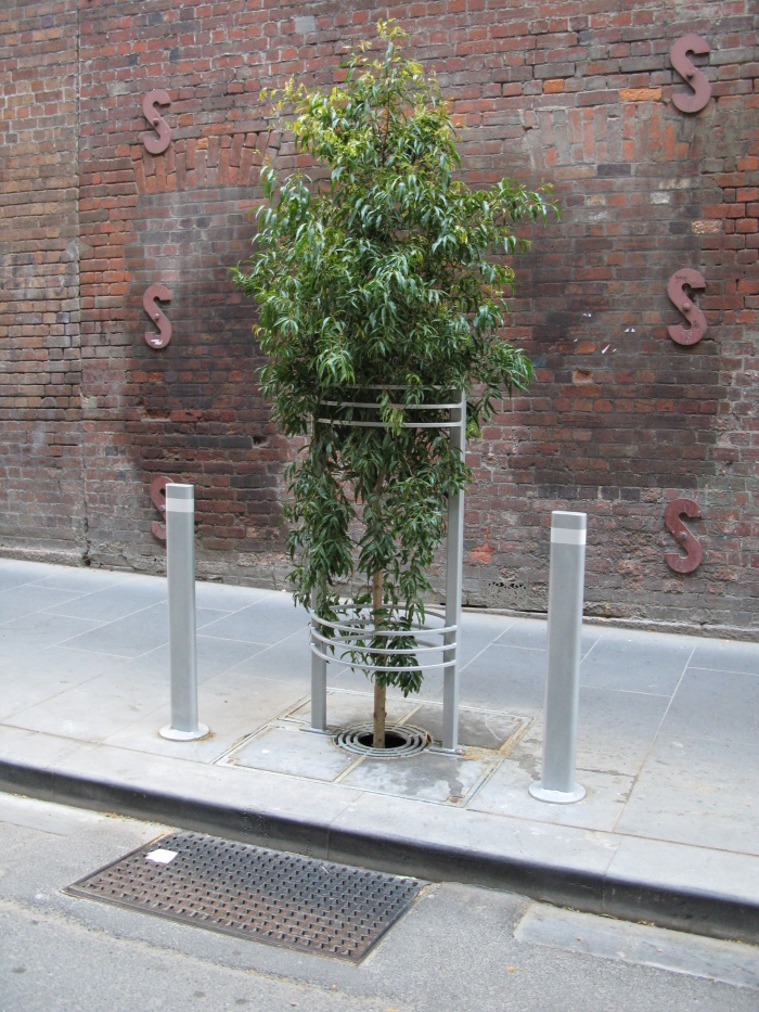 Covered back of kerb raingarden tree pit | City of Melbourne
