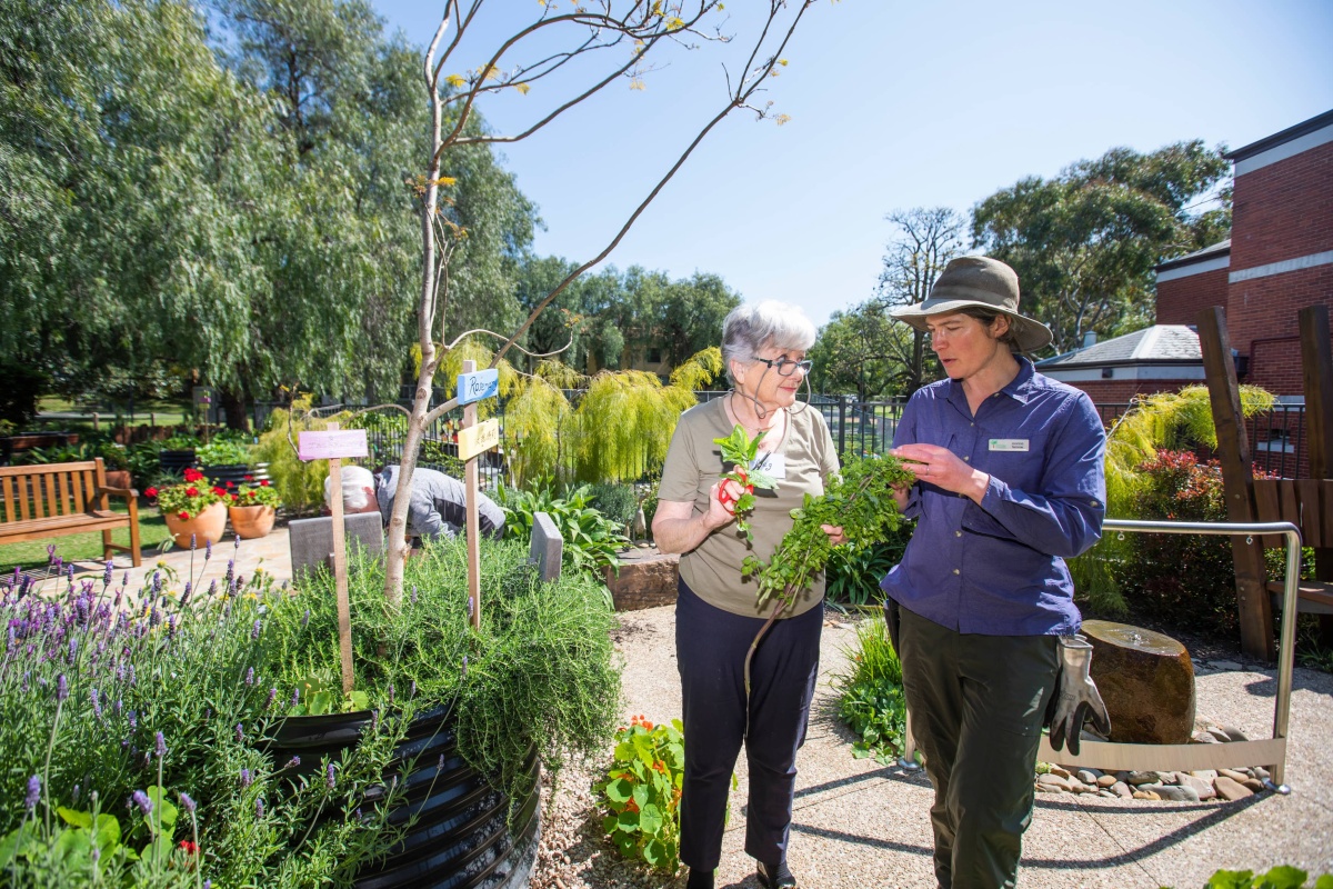 Community gardens and compost hubs | City of Melbourne