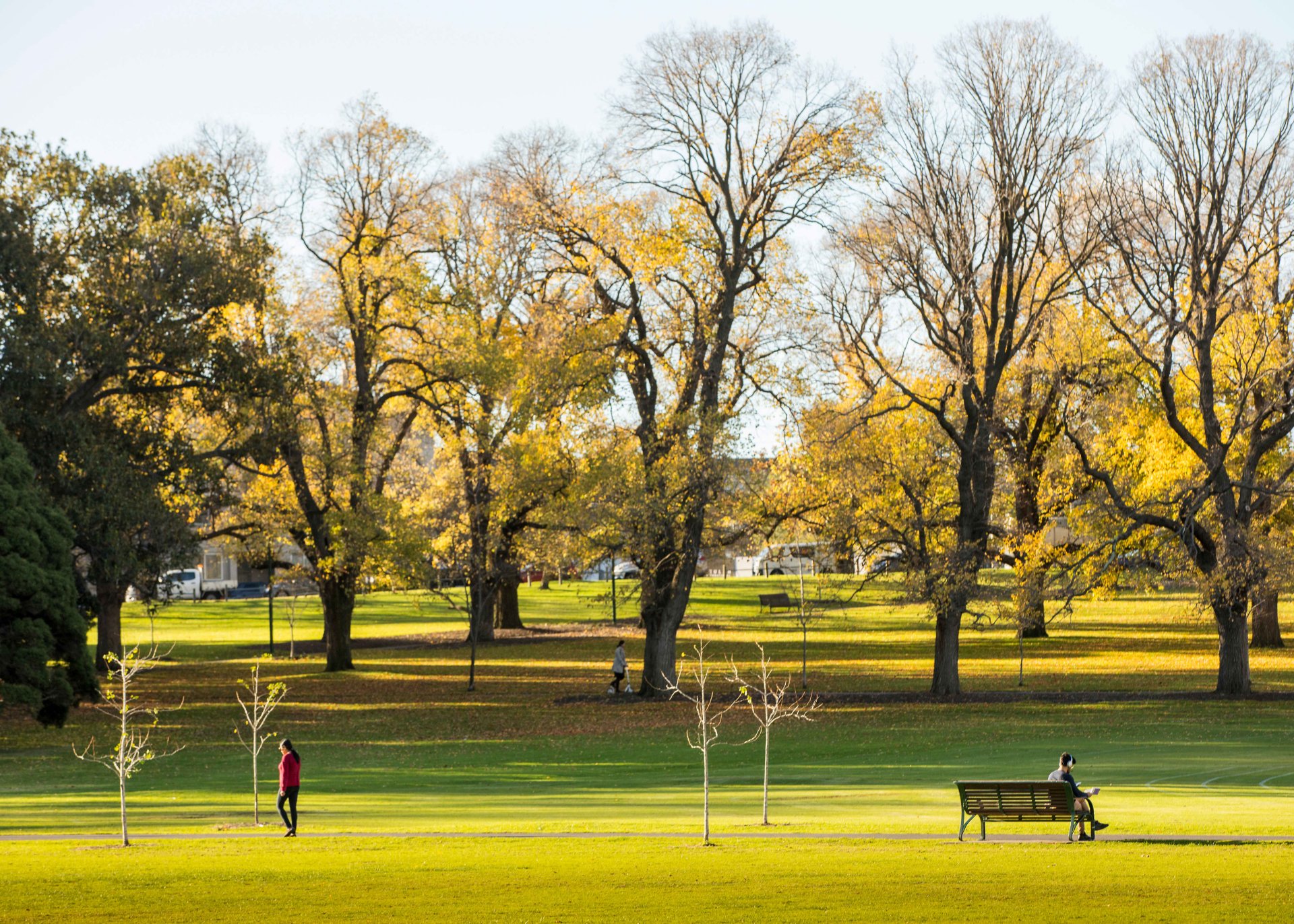 Fawkner Park | City of Melbourne