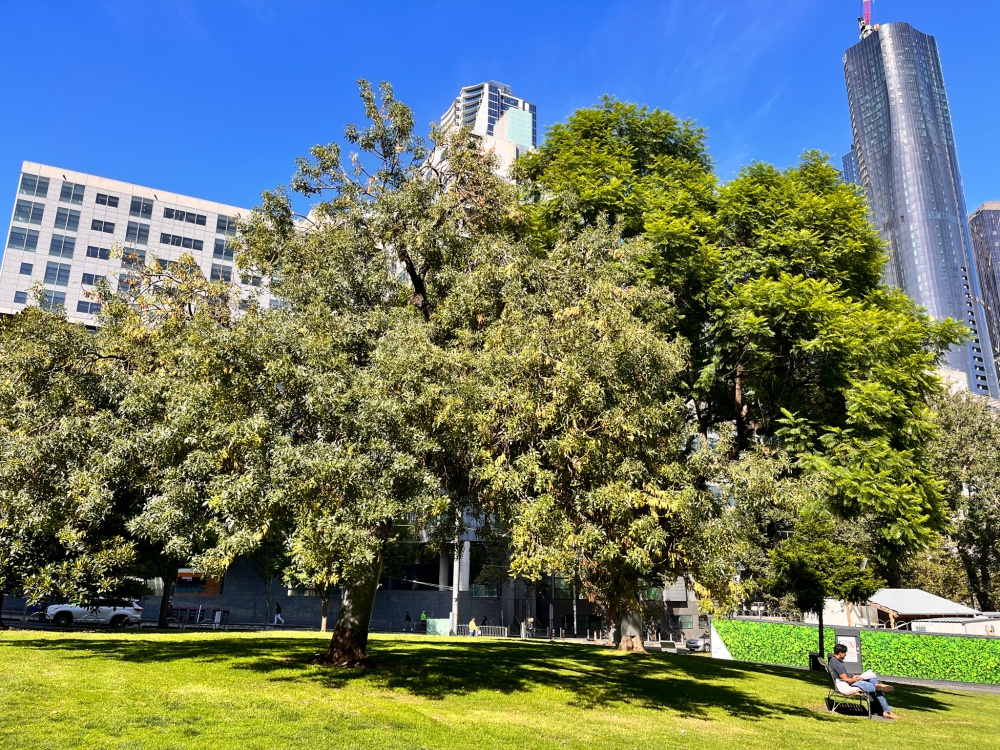Cooling our city | City of Melbourne