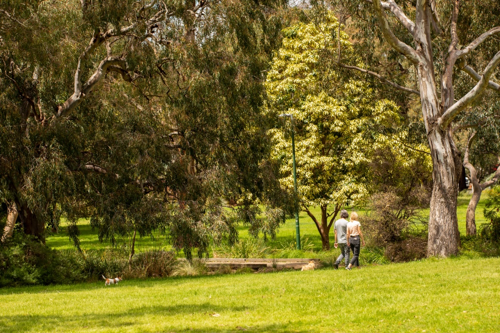 Urban Forest Strategy | City of Melbourne