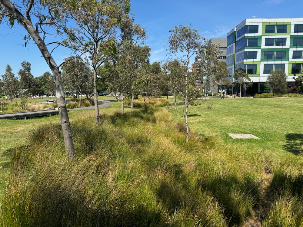 Swales | City of Melbourne