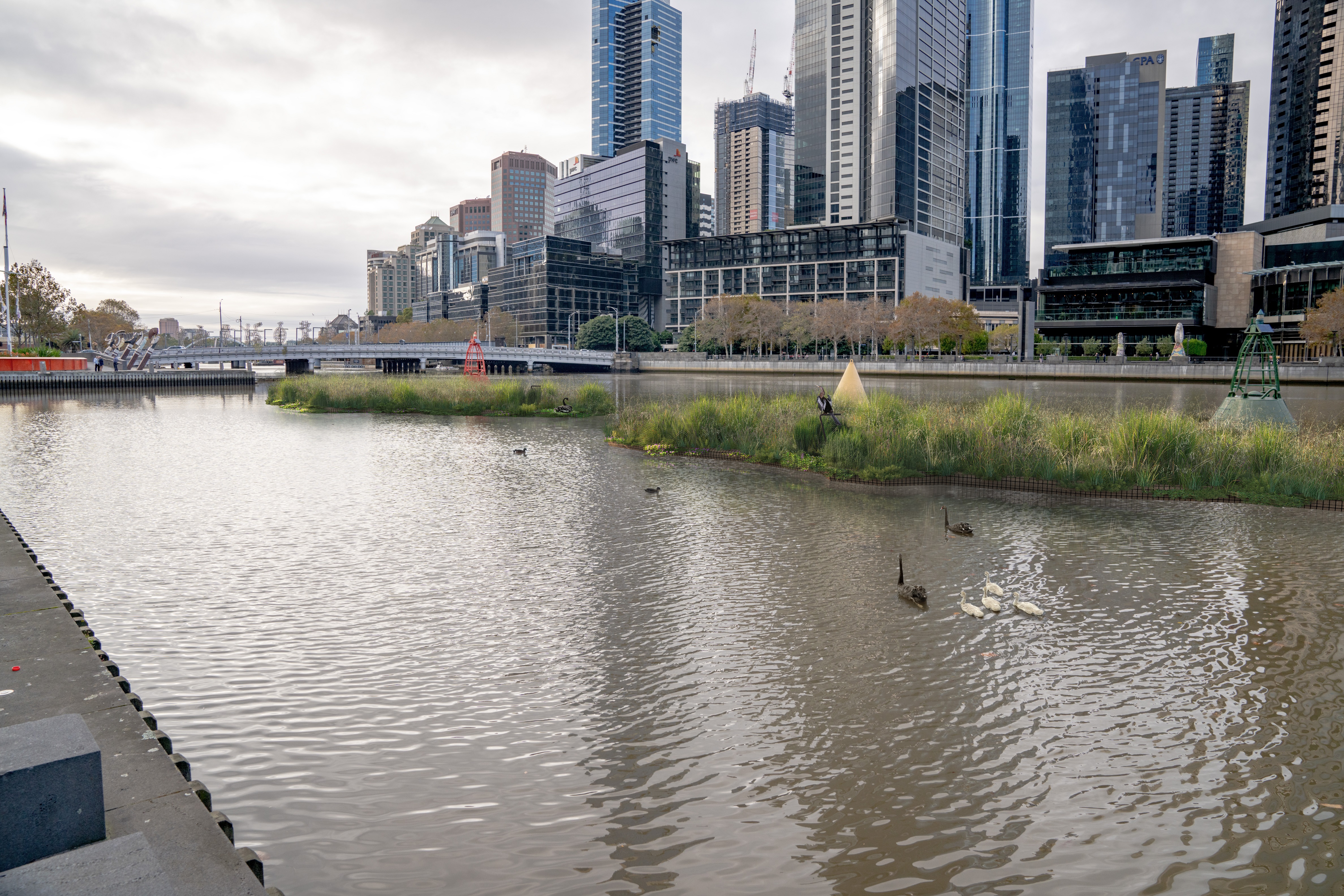 Birrarung Trial Floating Wetlands | City of Melbourne