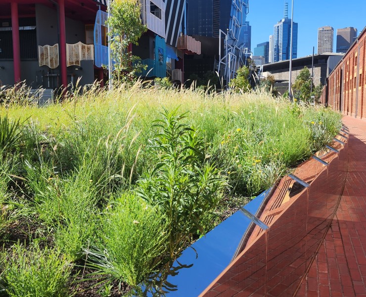 Dodds Street Linear Park | City of Melbourne
