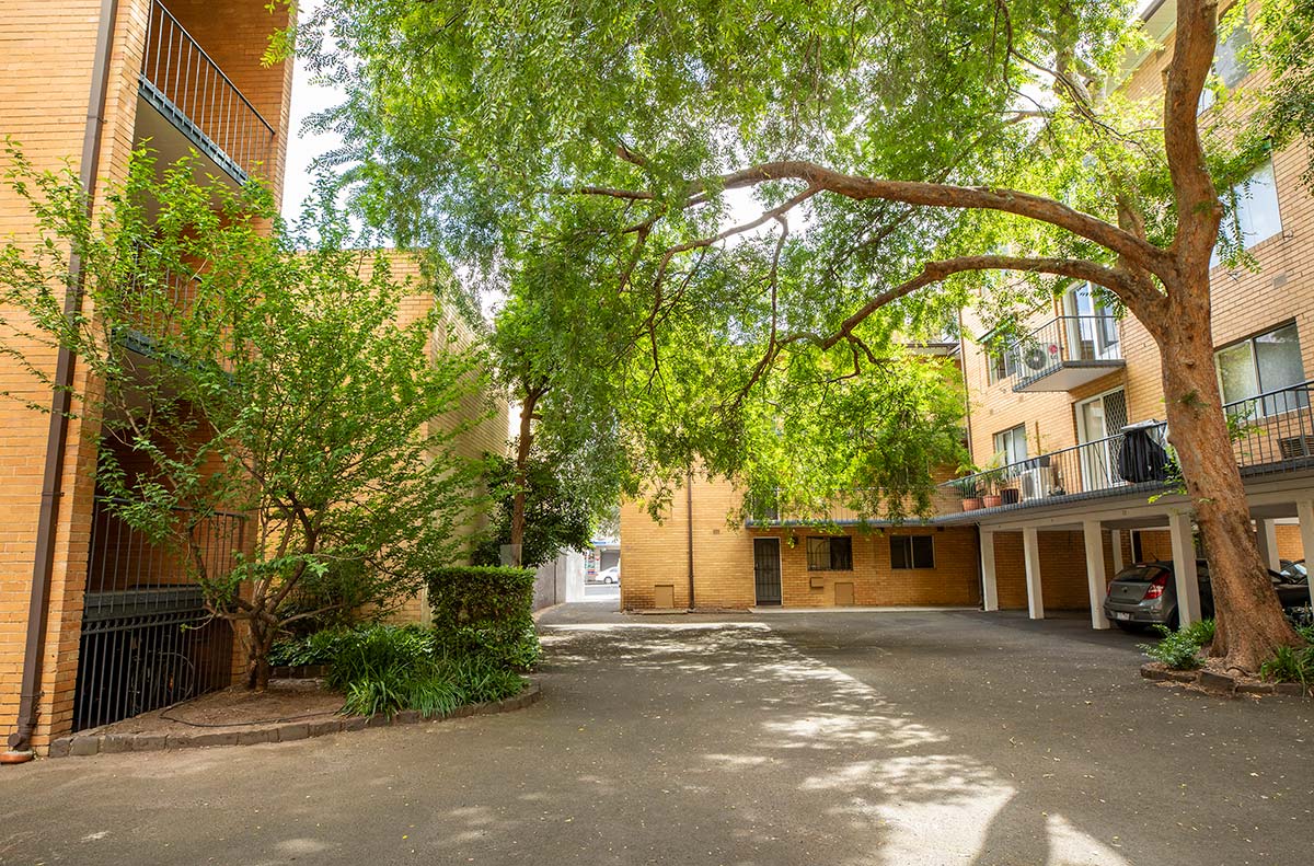 Termites | City of Melbourne