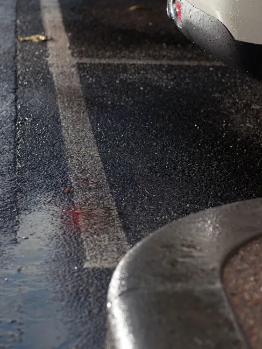 Postcode 3000: A city transformed? - exhibition | City of Melbourne