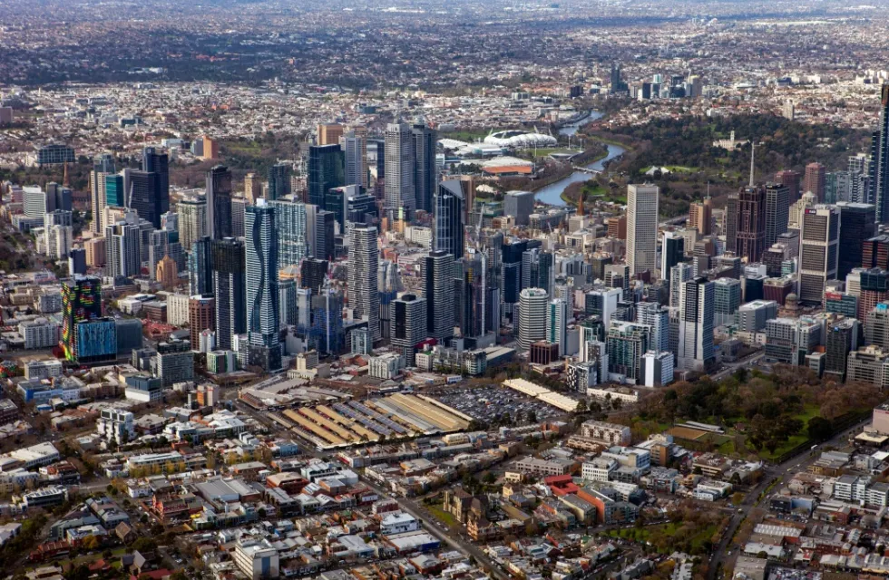 Common rice-flower | City of Melbourne