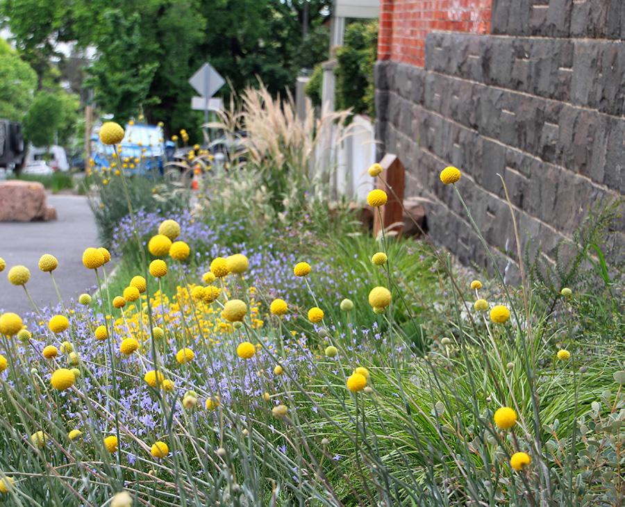 Postcode 3000: A city transformed? - exhibition | City of Melbourne